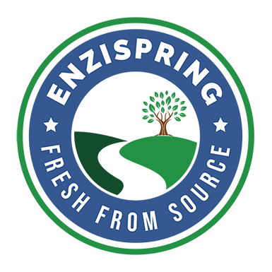 Our Products - Enzispring